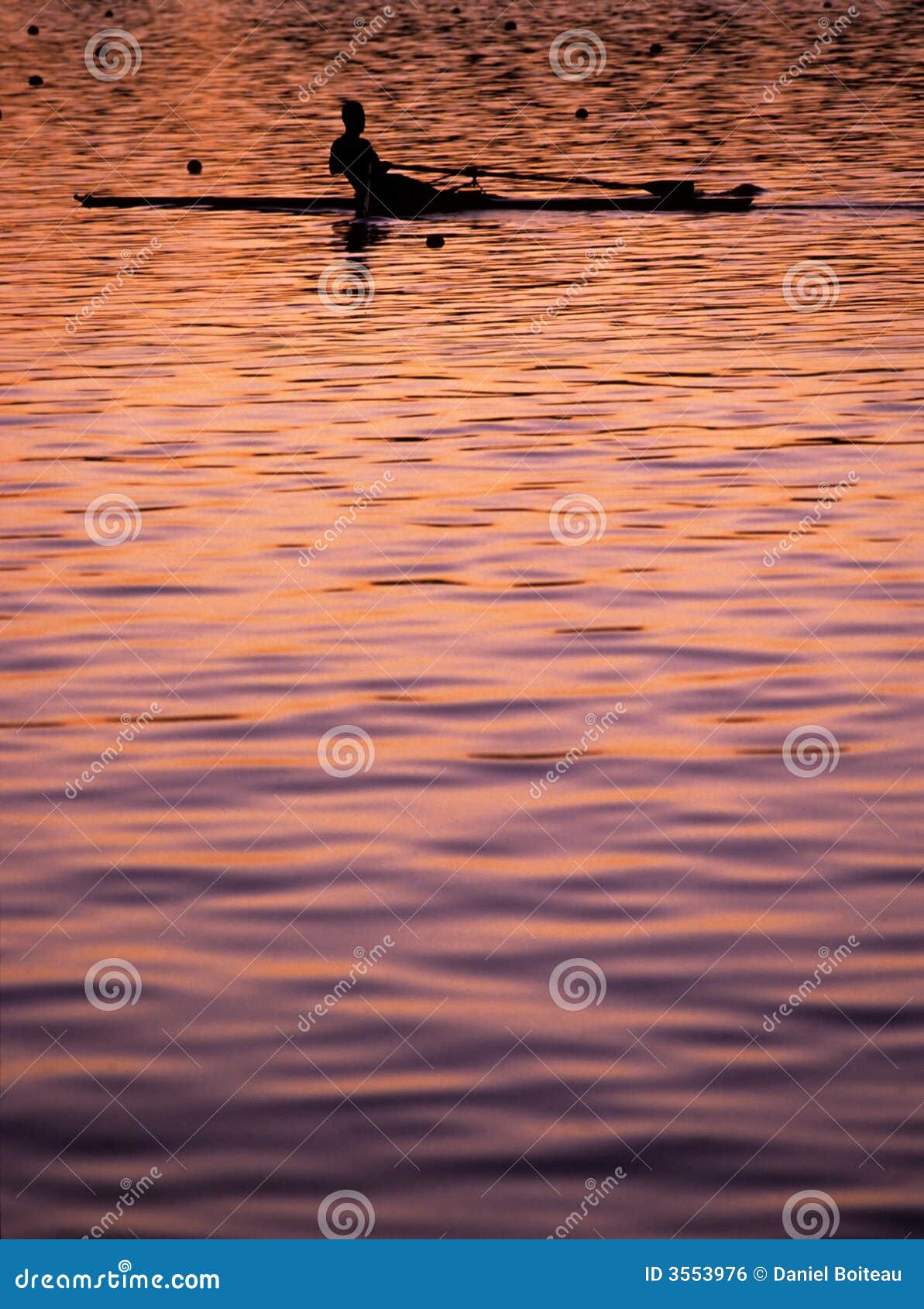 Rowing sunset stock photo. Image of orange, rowing, regatta - 3553976