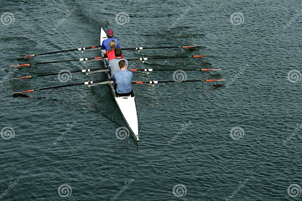 Rowing Team stock photo. Image of outside, water, floating - 2414482