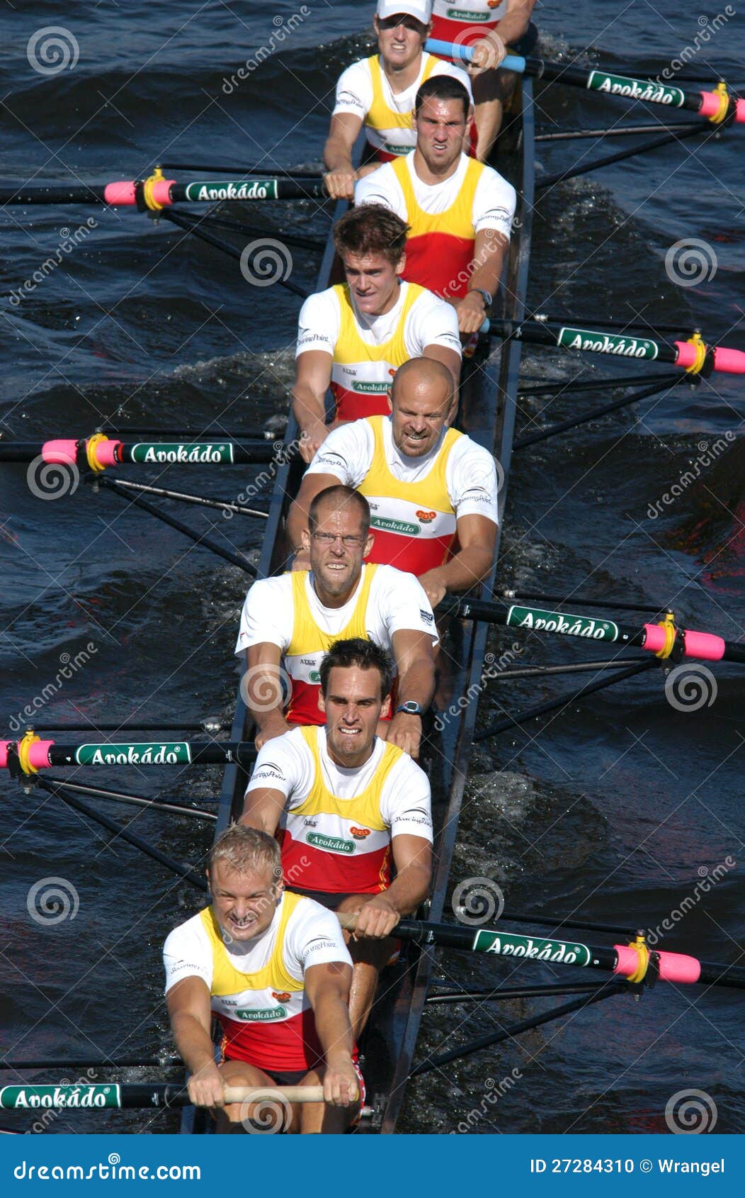 Rowing Team editorial image. Image of force, boarracing - 27284310