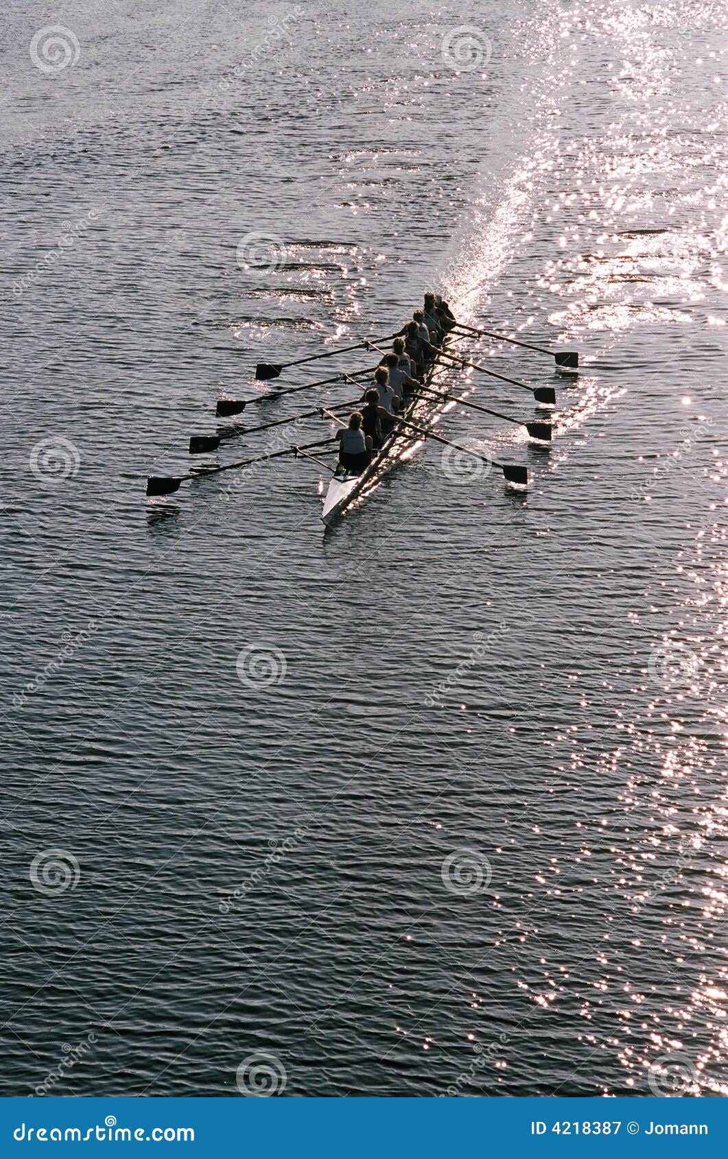 Rowing team stock image. Image of still, teamwork, boat - 4218387