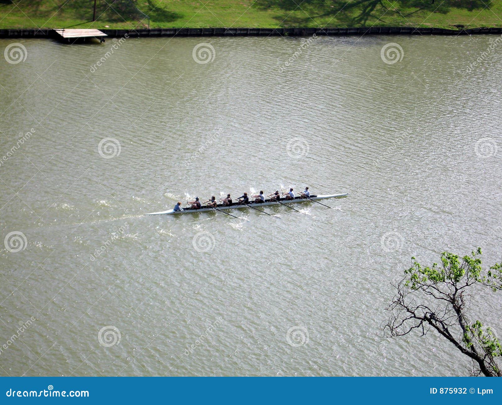 Rowing Team Practice stock photo. Image of sync, water - 875932