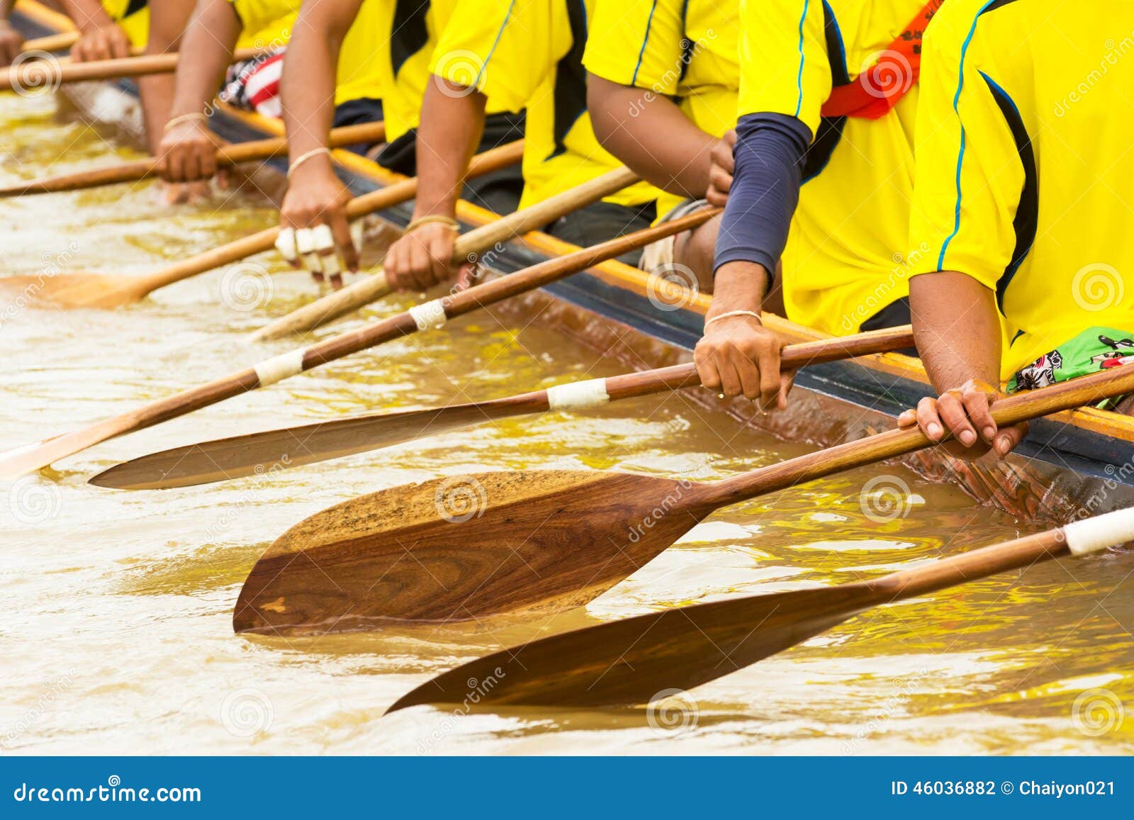 Rowing team race stock photo. Image of competition, flow - 46036882