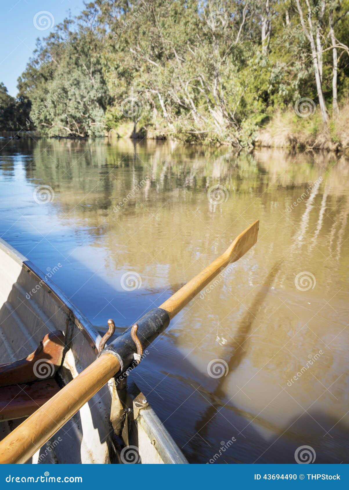 Rowing Yarra River Melbourne Stock Photo - Image of rowing, melbourne ...