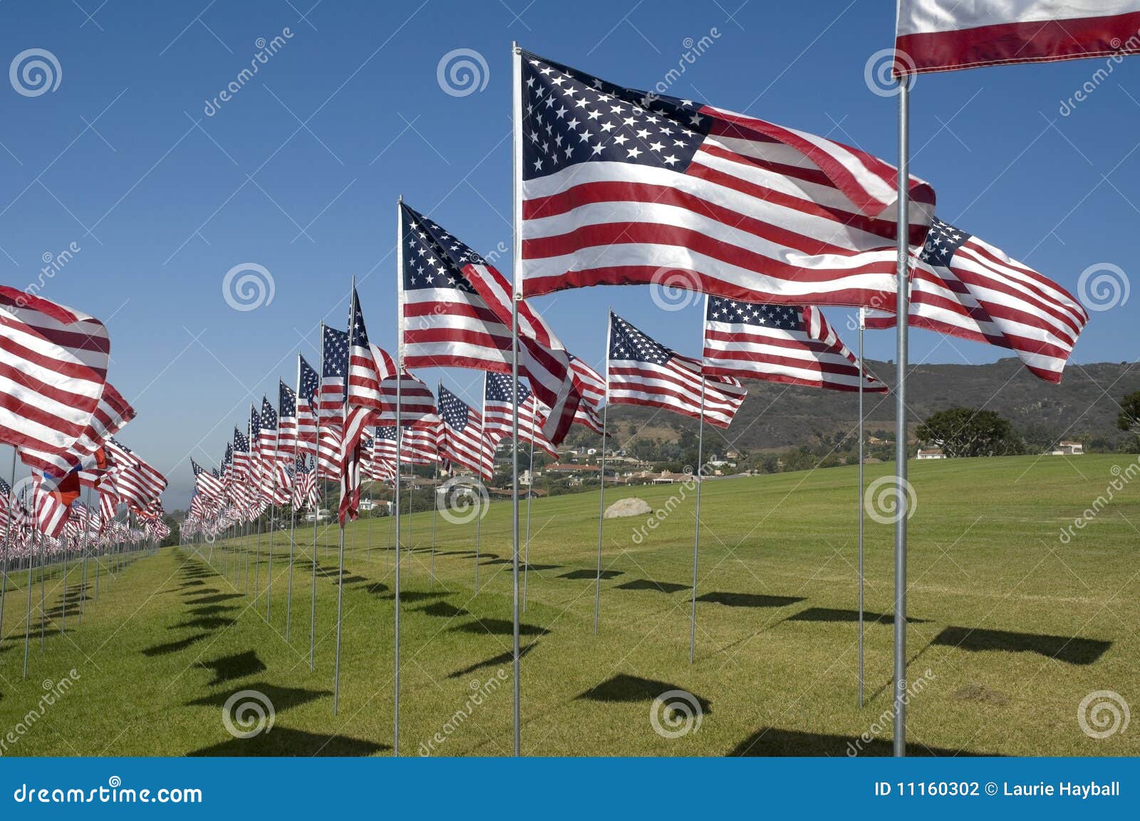 Rows of American Flags stock photo. Image of white, stars - 11160302