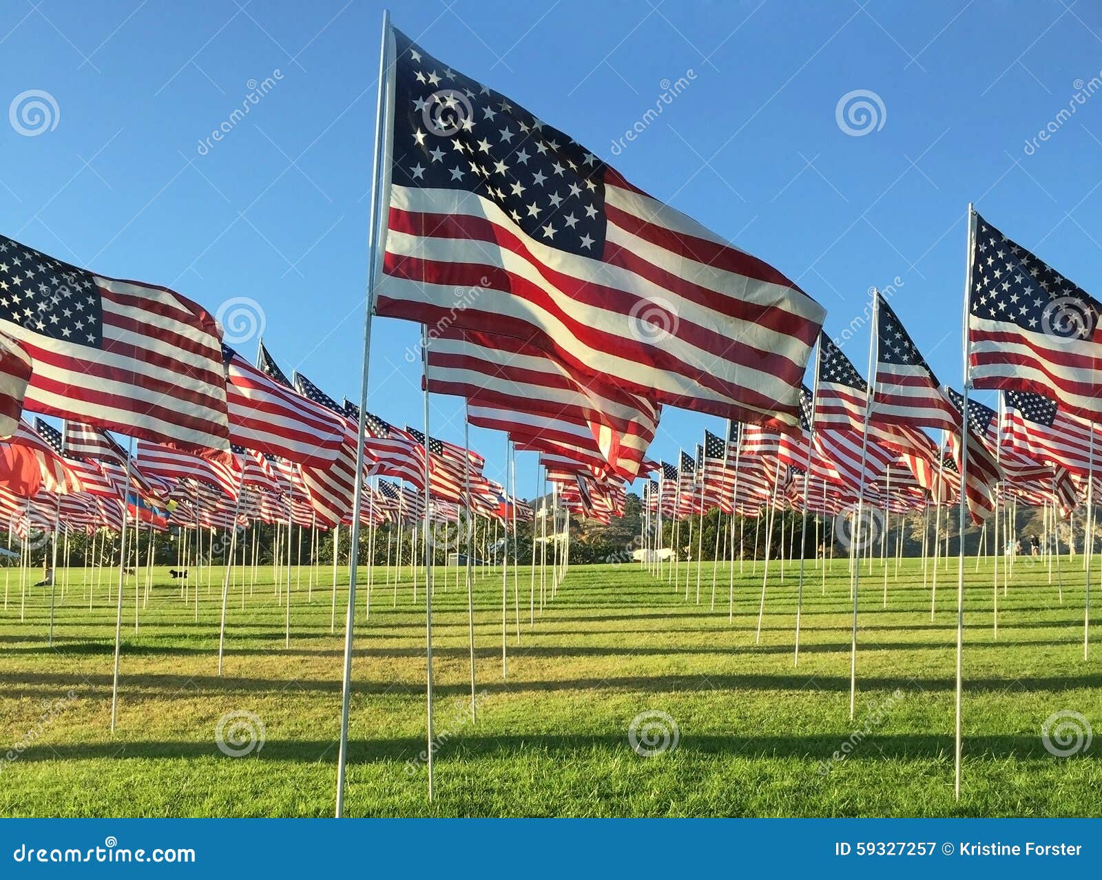 Rows of American Flags stock image. Image of patriotic - 59327257