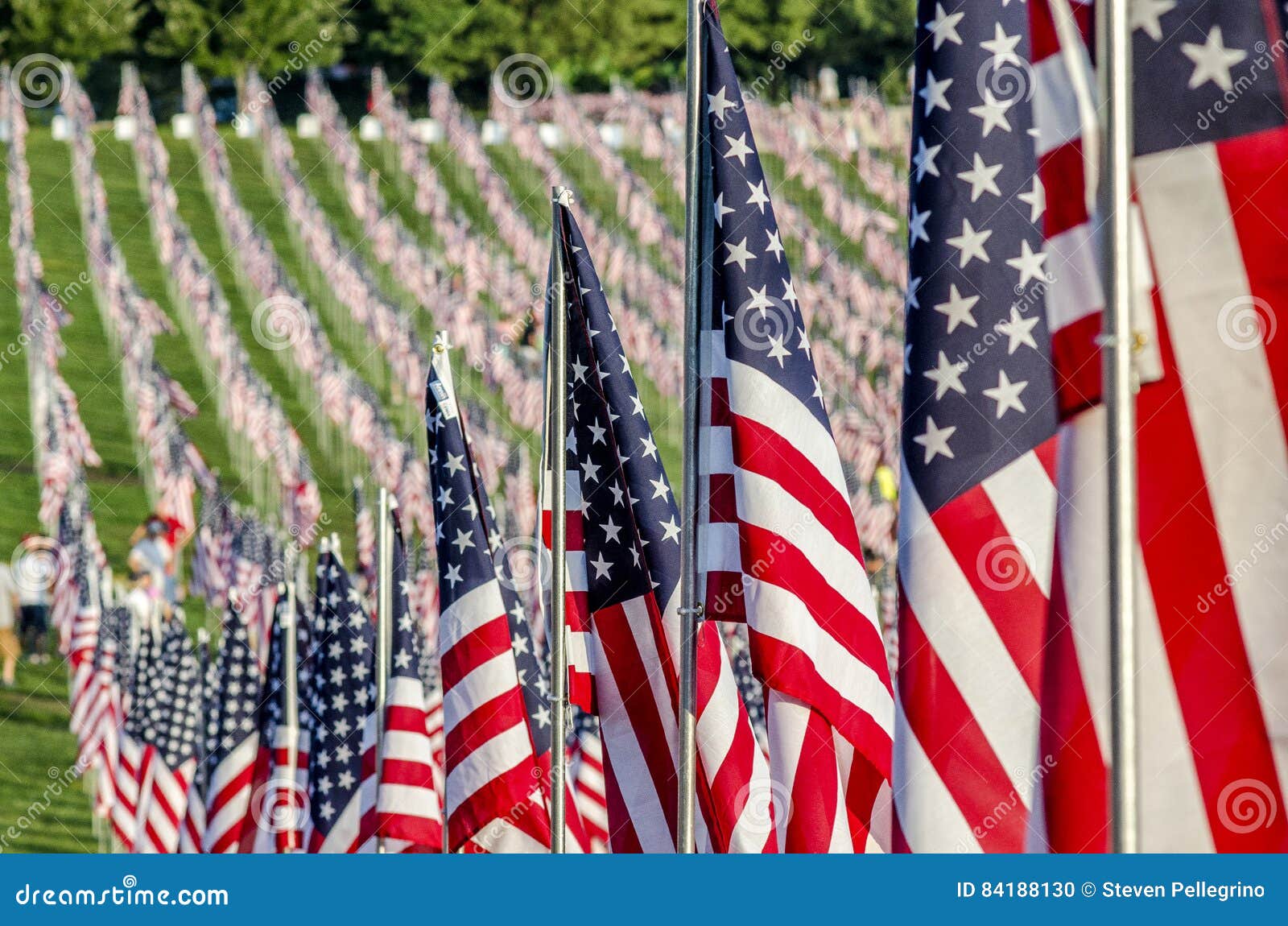 Rows of American Flags stock photo. Image of flag, hill - 84188130