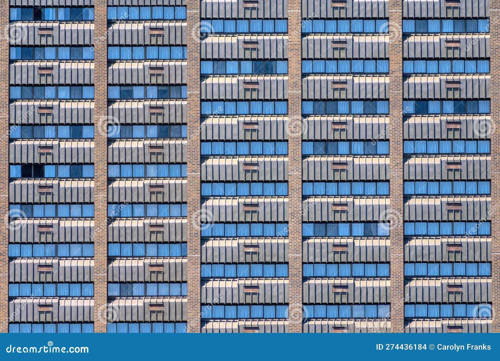 Rows of Apartment Windows in High-Rise Condo Building Stock Photo ...