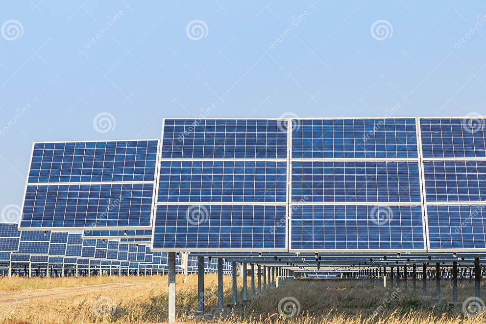 Rows Array of Polycrystalline Silicon Solar Cells or Photovoltaic Cells ...