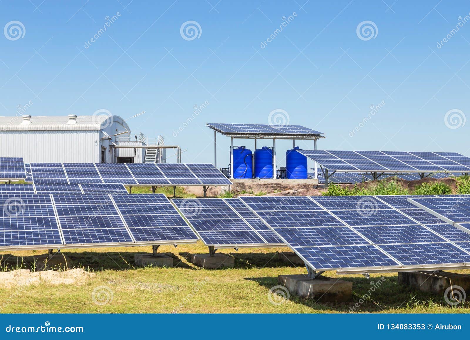 Cells Of A Plant Stem With A Disease Under A Microscope Royalty-Free ...