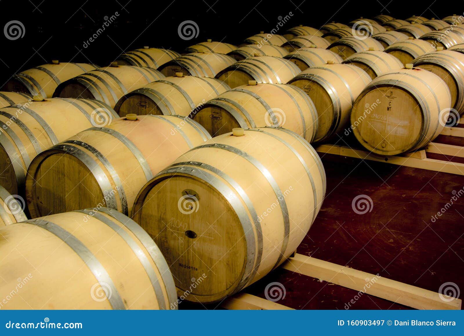 Rows of Barrels Disposed on a Wine Cellar Stock Image - Image of wine ...