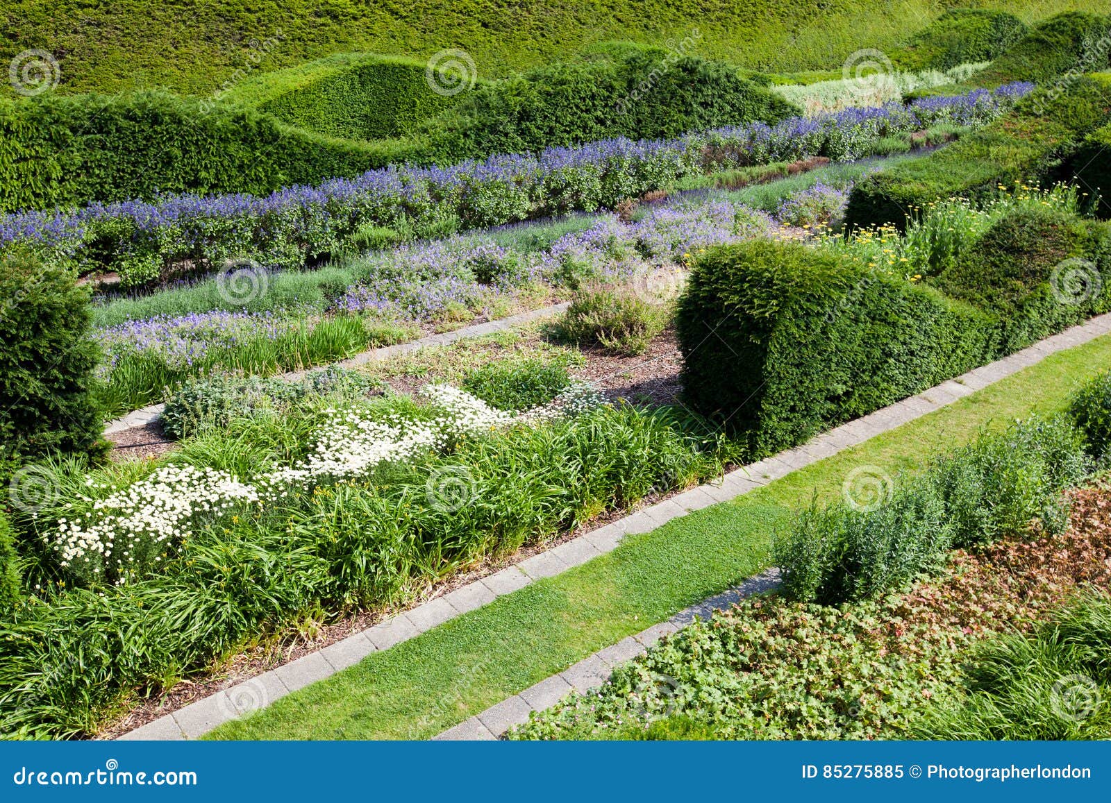 Rows Beautifully Designed Hedges Stock Photos - Free & Royalty-Free ...