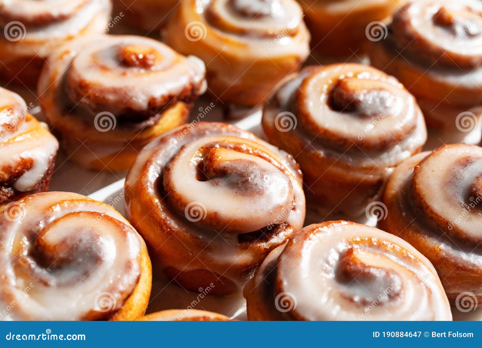 Rows of Bite Size Cinnamon Swirl Rolls in a Plastic Tray Stock Image ...