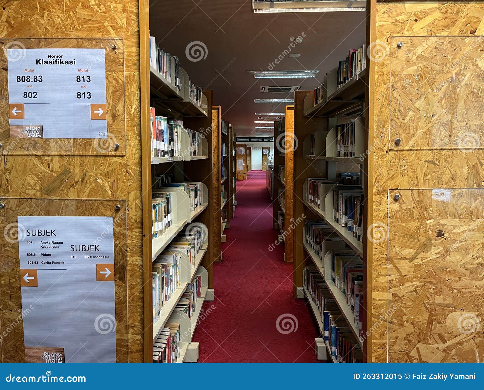 Lots of Books in a Library. Editorial Image - Image of ancient ...