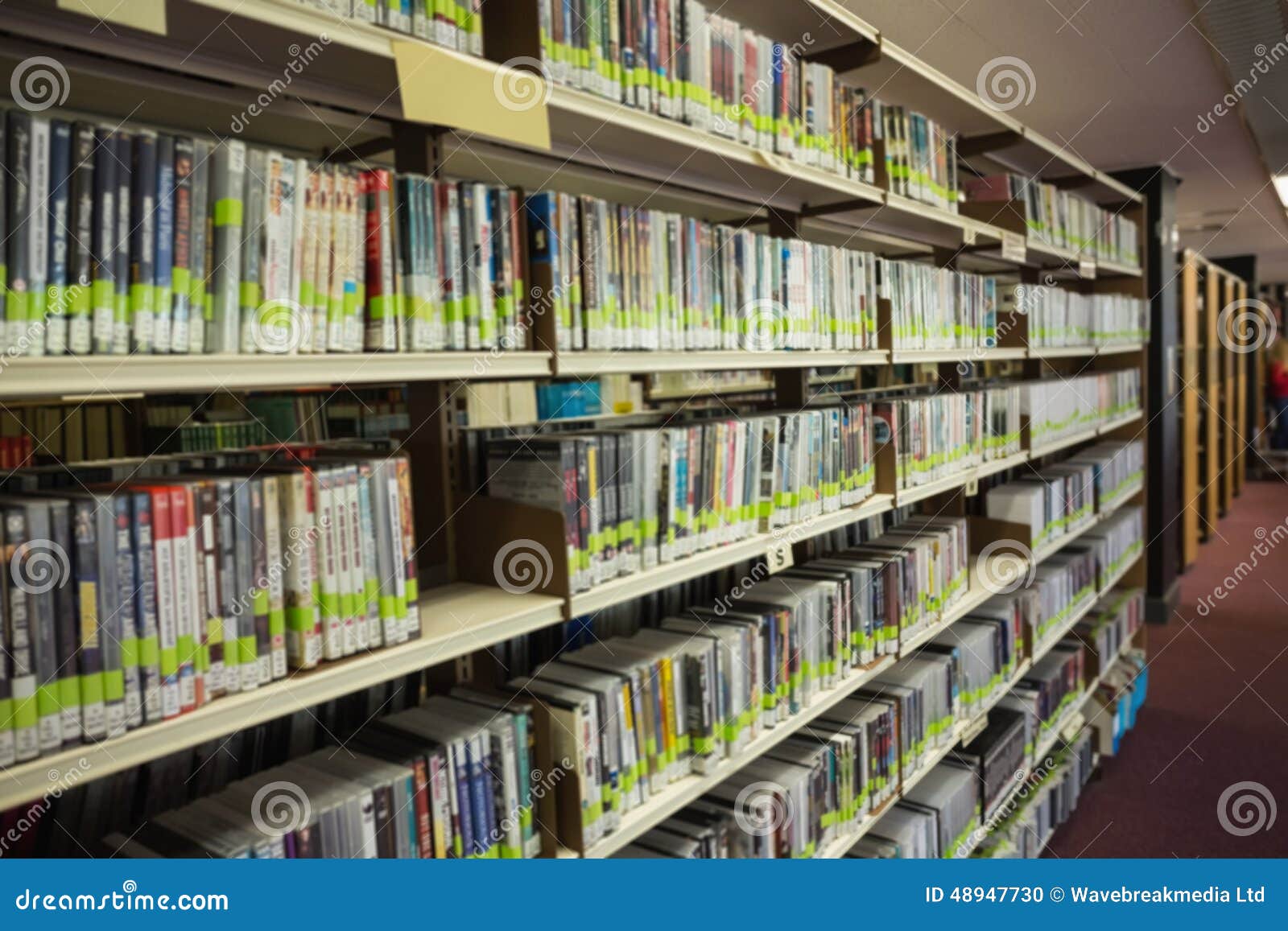 Rows of Bookshelves in the Library Stock Photo - Image of book, library ...