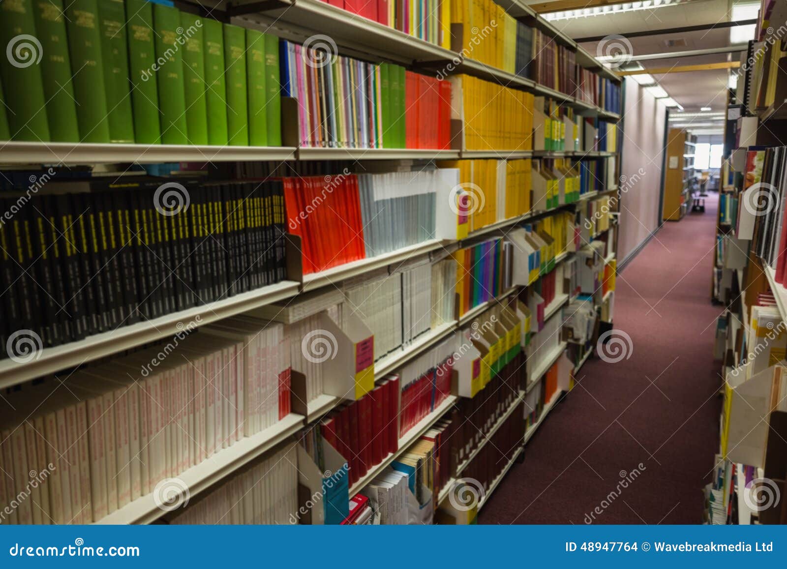 Rows of Bookshelves in the Library Stock Photo - Image of college ...
