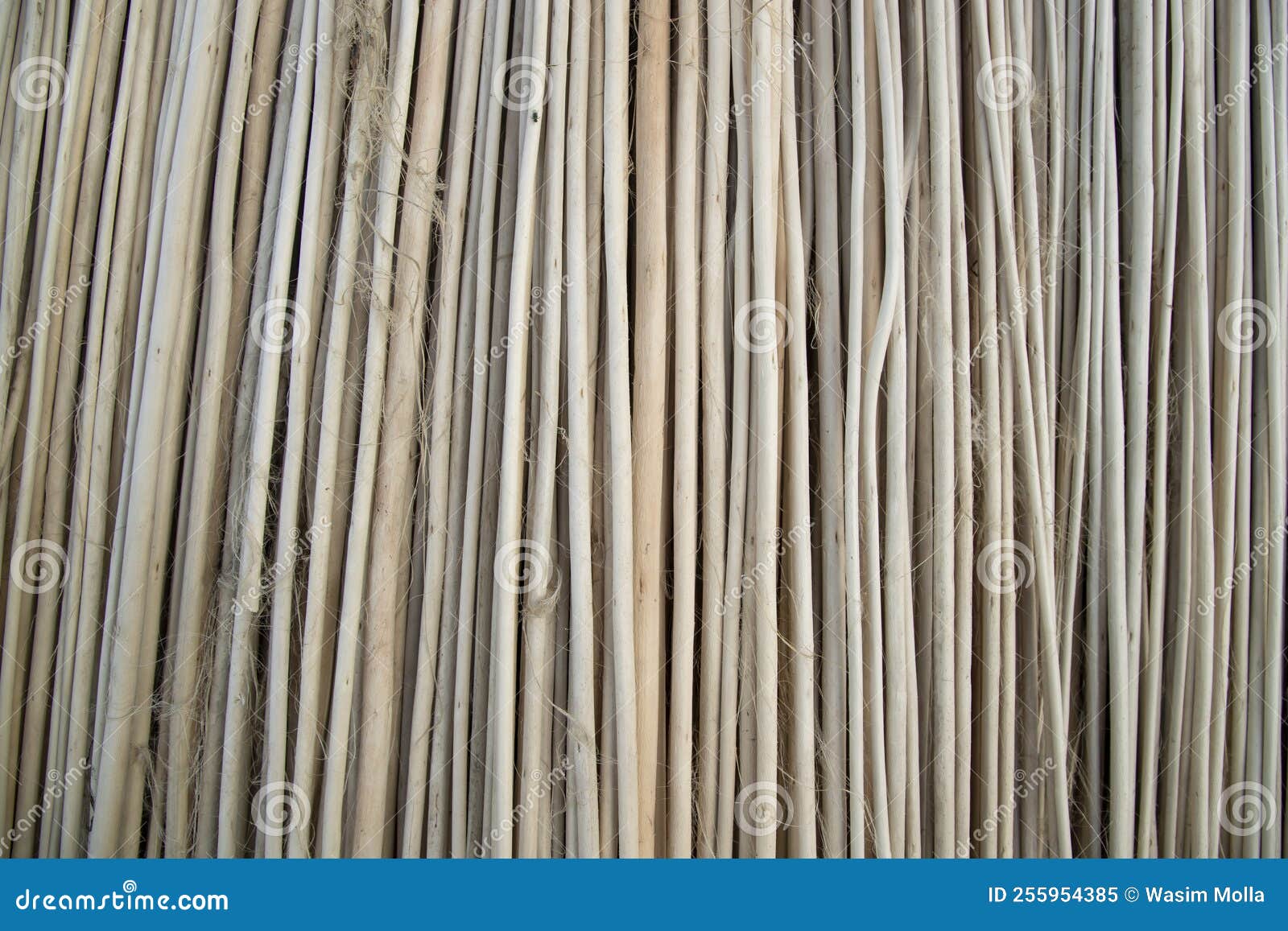 Rows and Rows of Brown Jute Sticks Texture Background of a Field Stock ...