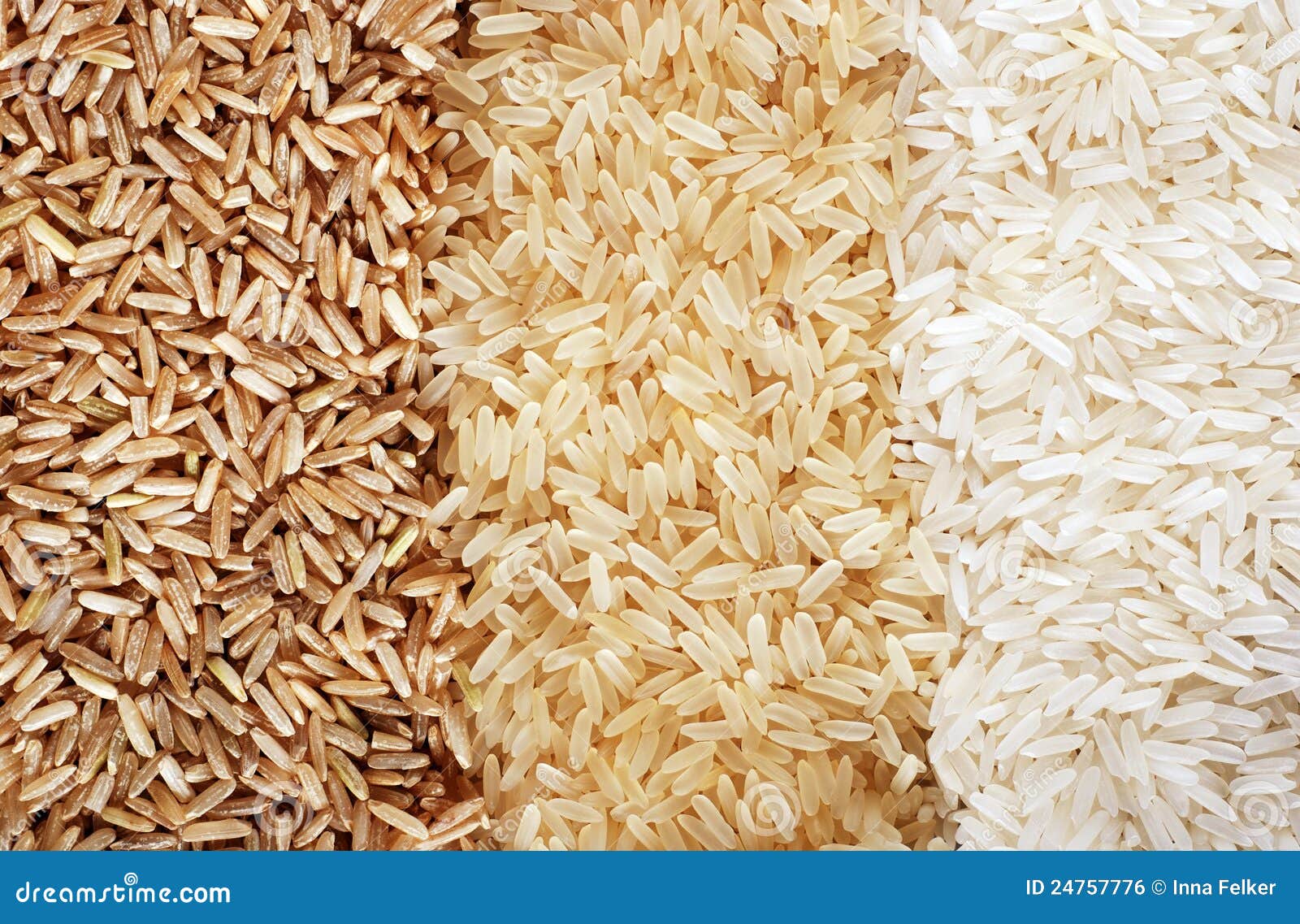 Food Background Three Rows Rice Varieties Brown Rice Mixed Wild Rice ...