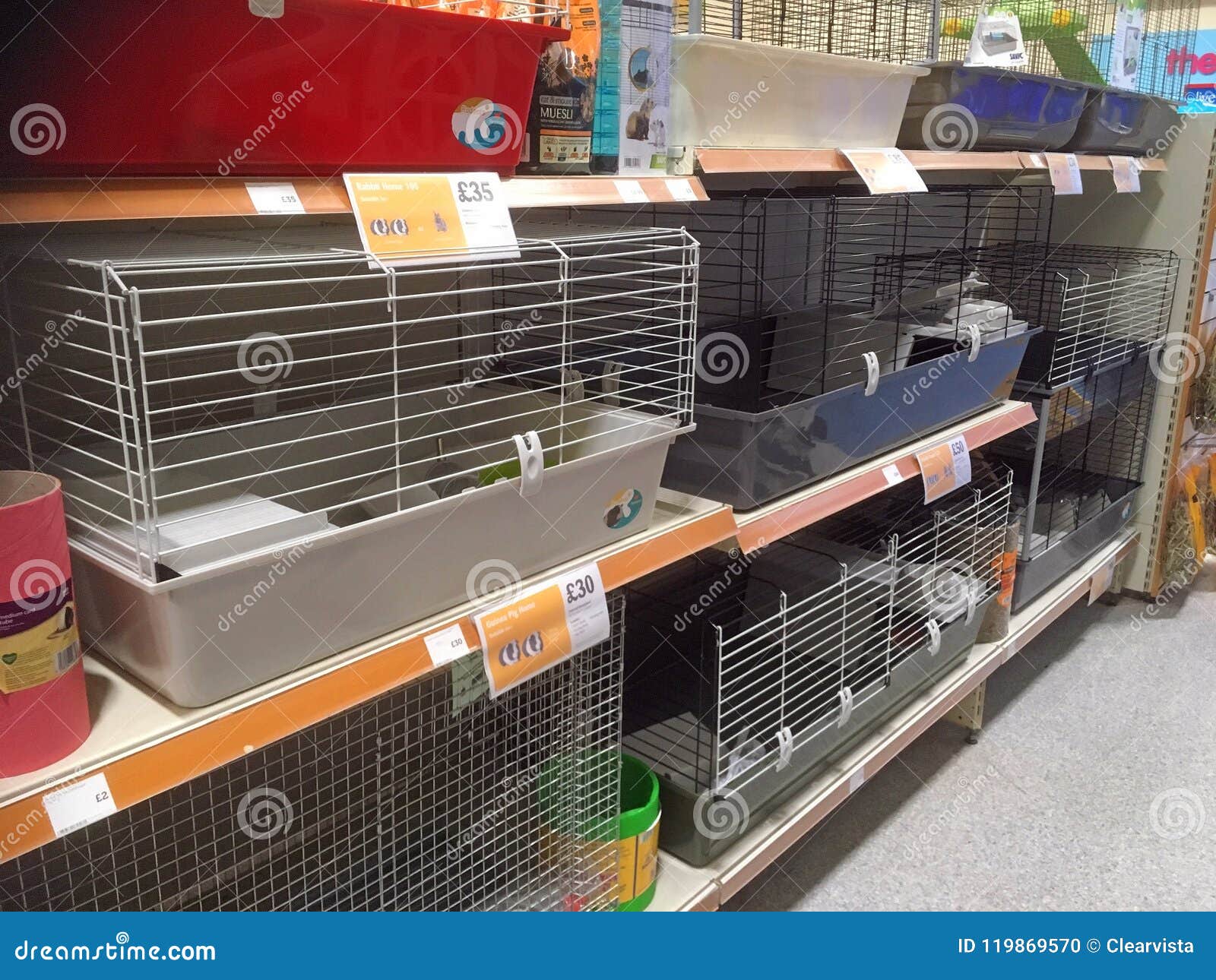 Rows of Cages in a Pet Store. Editorial Image - Image of united, small ... Rows of Cages in a Pet Store. Editorial Image - Image of united, small ...
