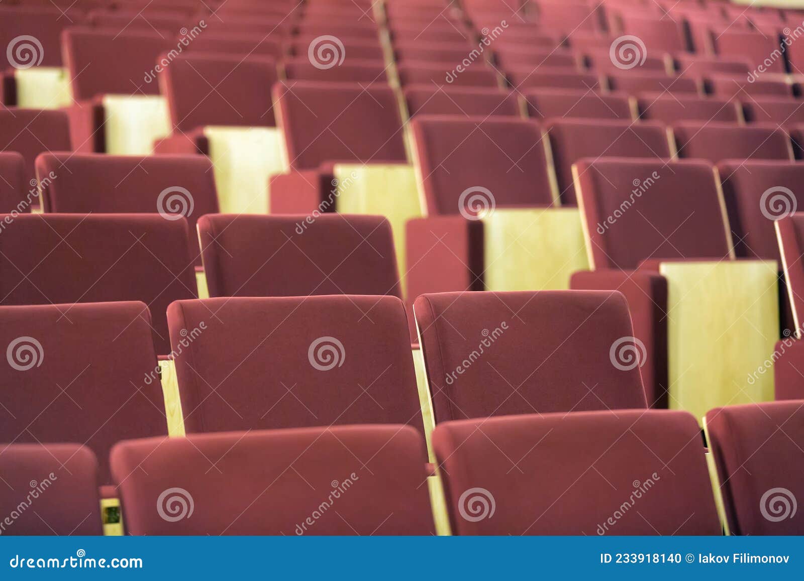 Rows of Chairs in Audience Hall Stock Photo - Image of concert ...