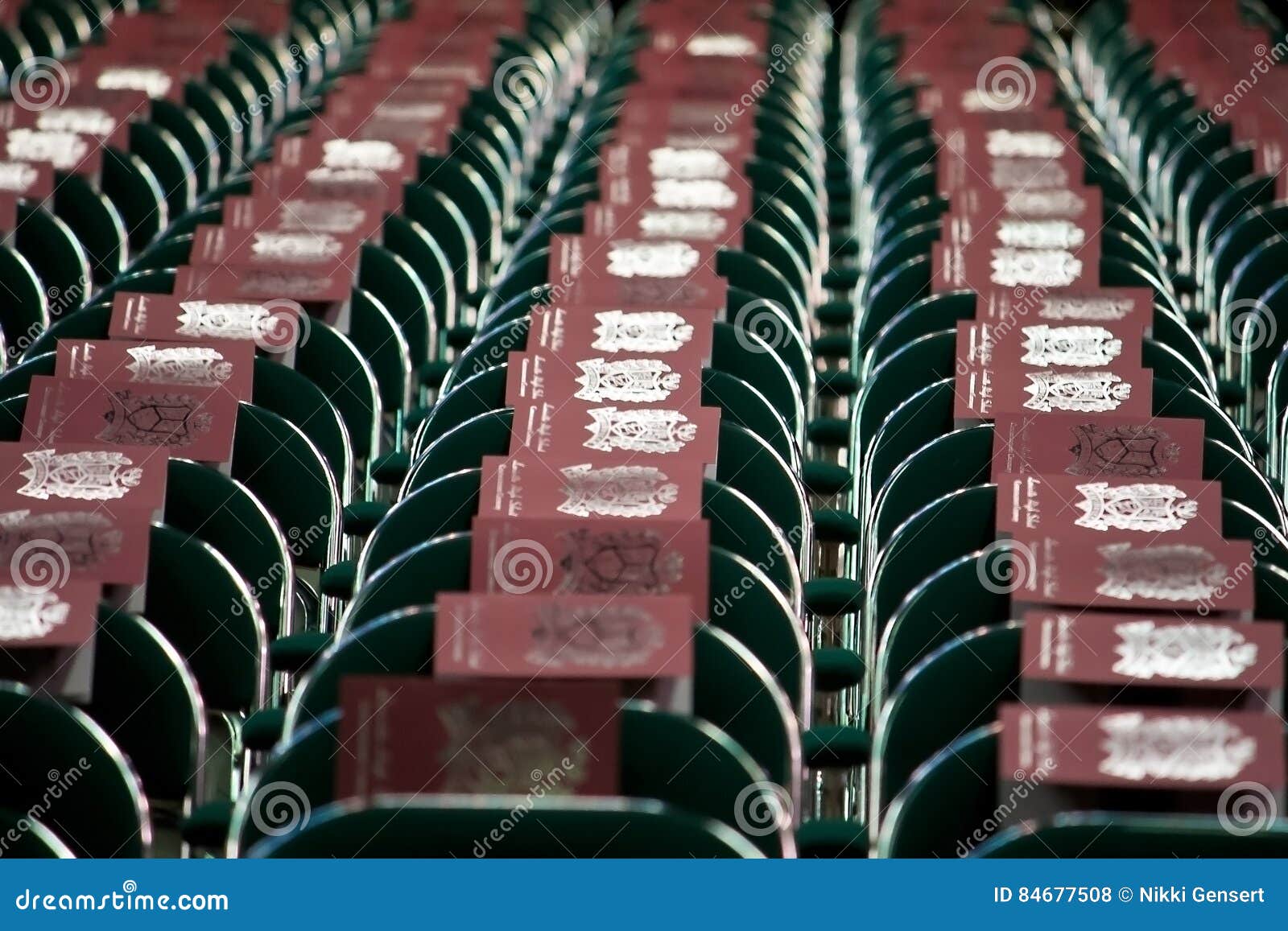 Rows of Chairs Set Up for Graduation Ceremony Stock Photo - Image of ...