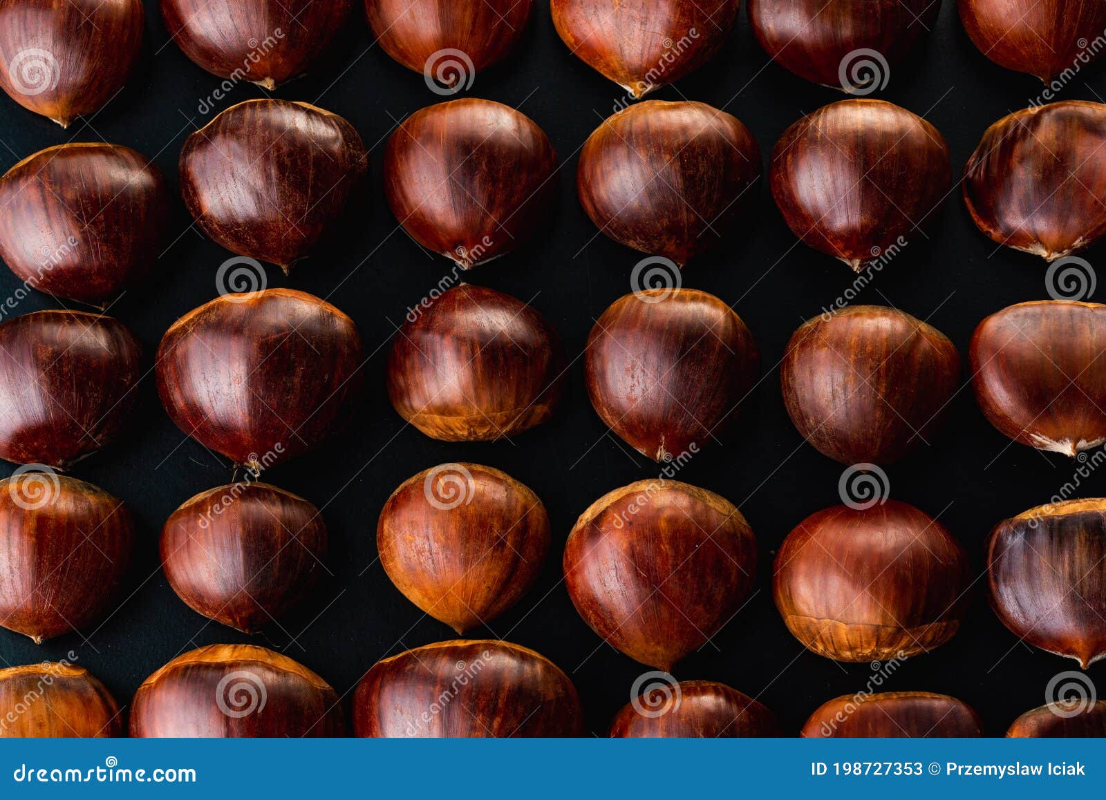 Rows of Chestnuts Isolated on Black Background Stock Image - Image of ...