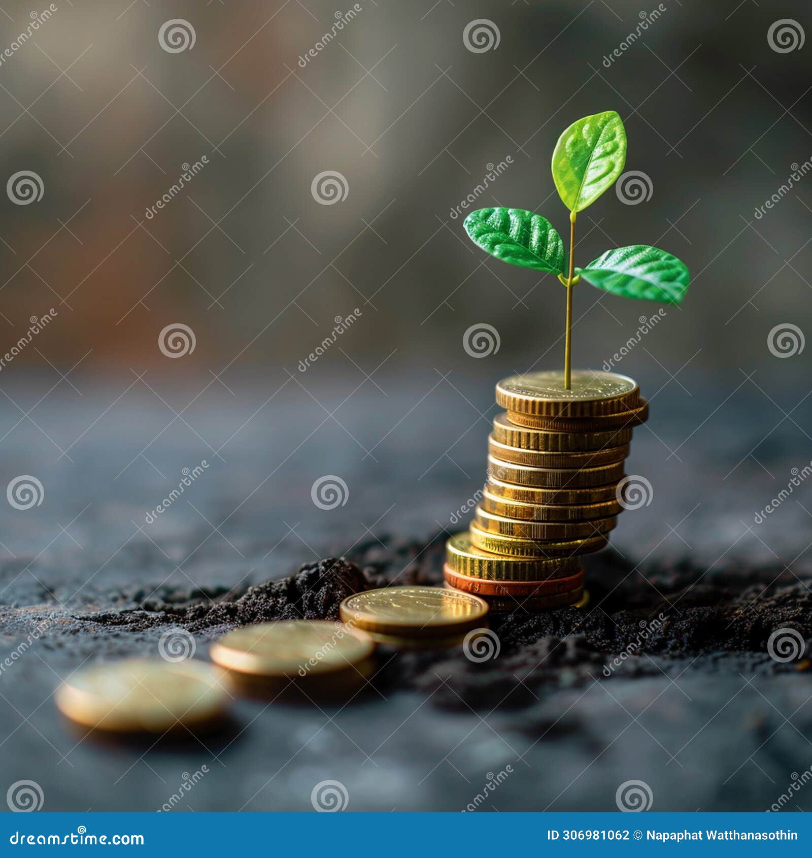 Rows of Coins, Arranged from Lowest To Highest Show the Tree Sapling ...