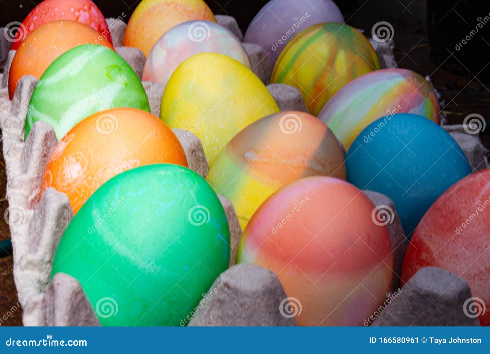 Rows of Colored Easter Eggs in an Egg Carton Stock Image - Image of ...