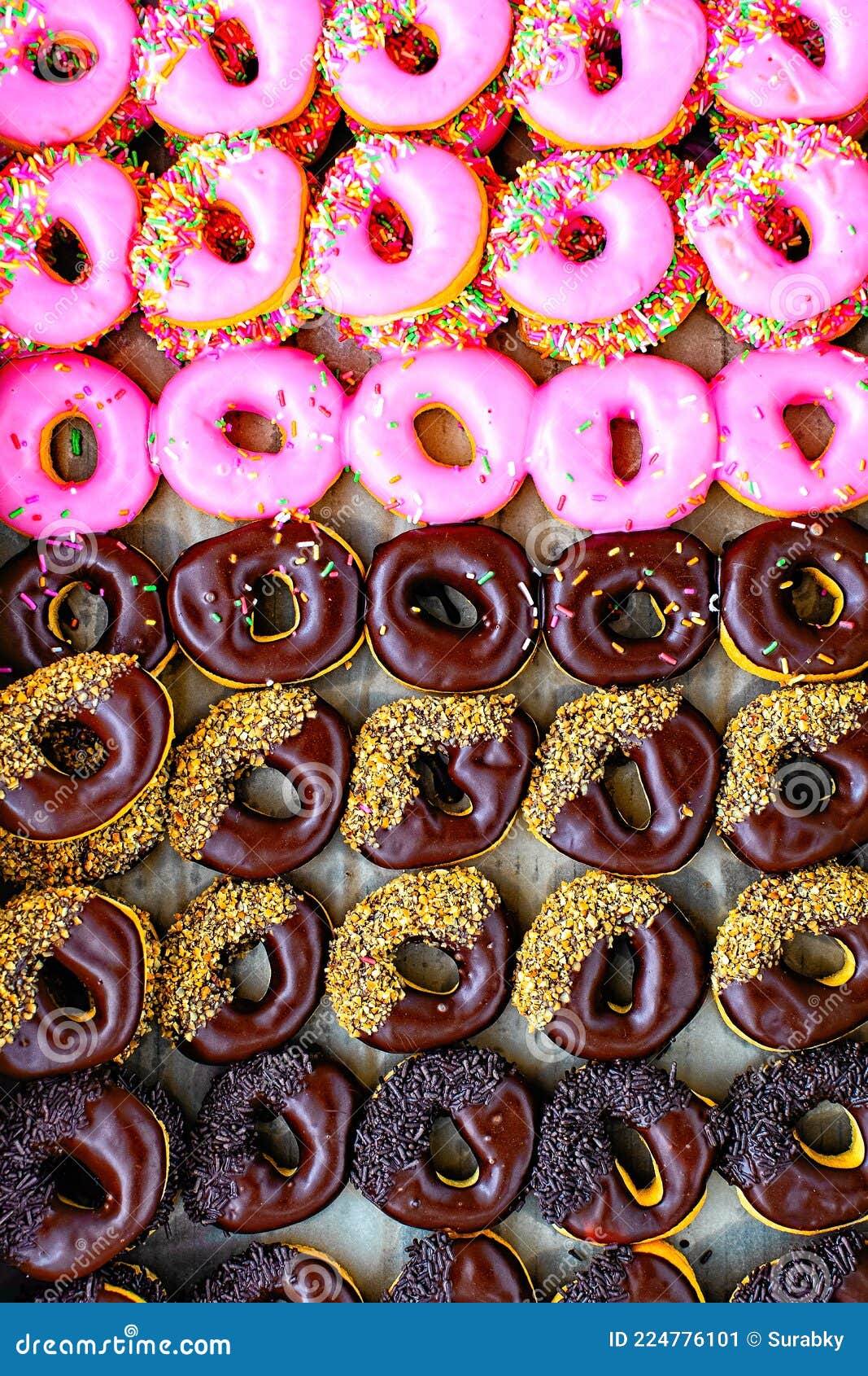 Rows of Colorful Donuts Process in Fall Color Style and Taken from Top ...