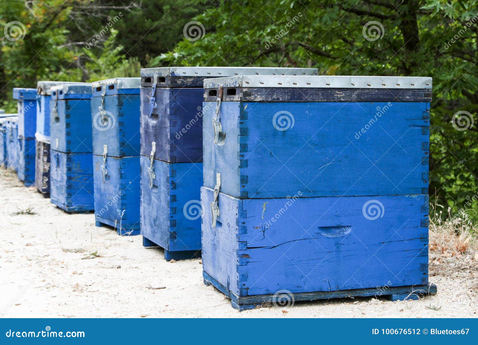 Blue Bee Hives in the Field at Thassos Stock Photo - Image of ...