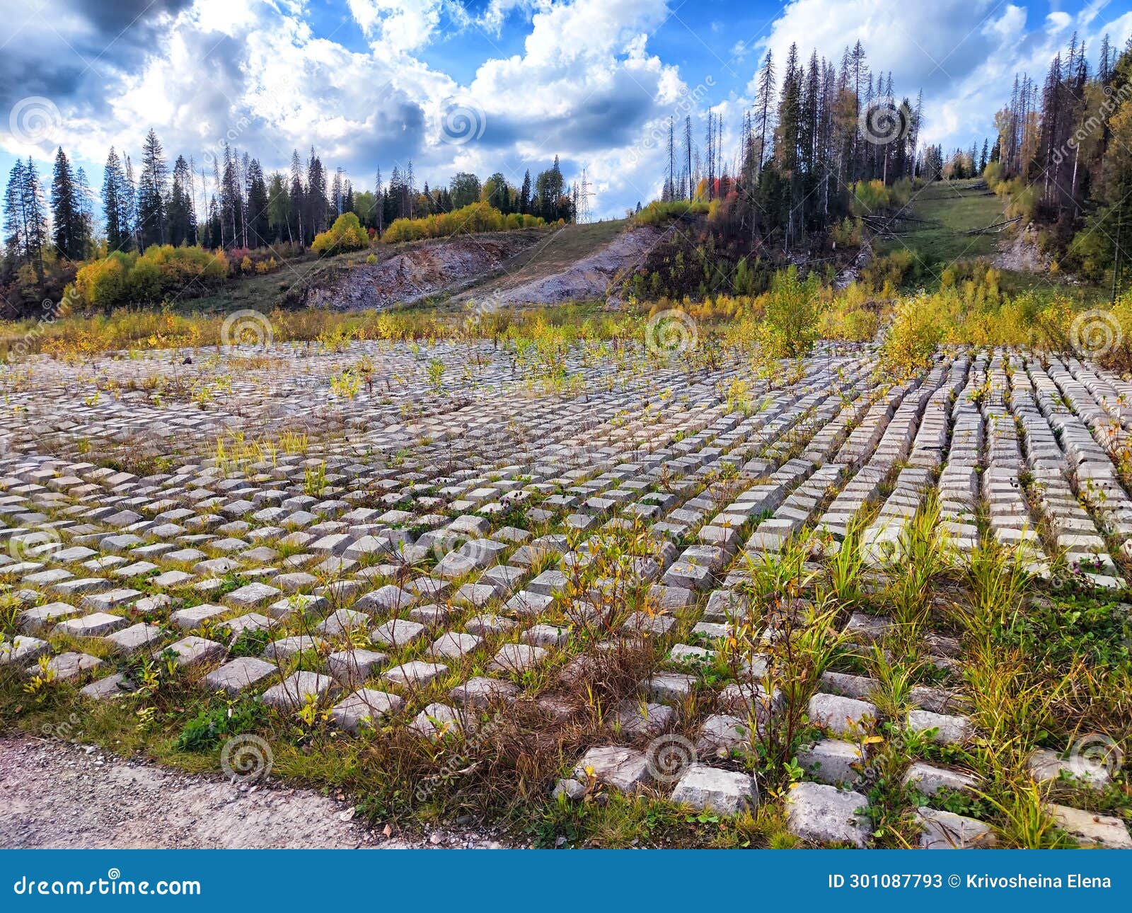 Rows of Concrete Cubes or Rectangles on the Bank of a River with Grass ...