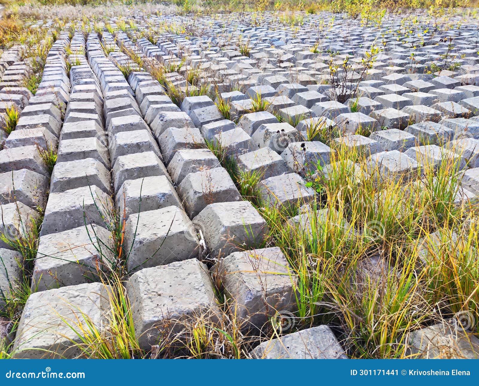 Rows of Concrete Cubes or Rectangles on the Bank of a River with Grass ...