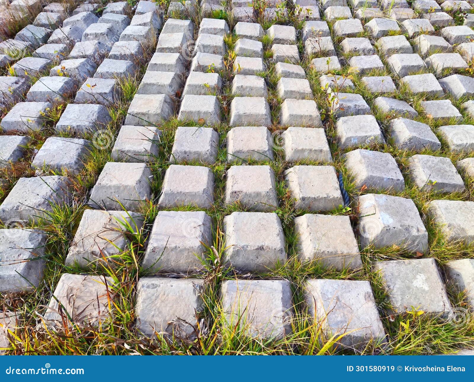 Rows of Concrete Cubes or Rectangles on the Bank of a River with Grass ...