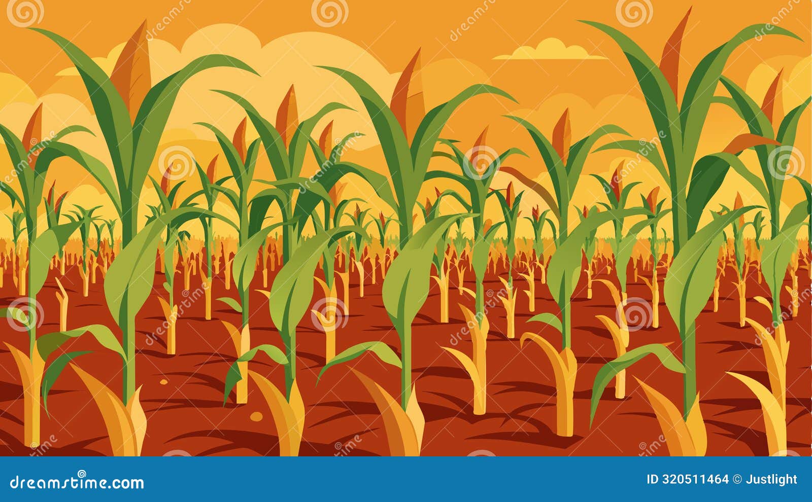 The Rows Of Corn Looked Like A Sea Of Withered Wilted Plants Defeated ...