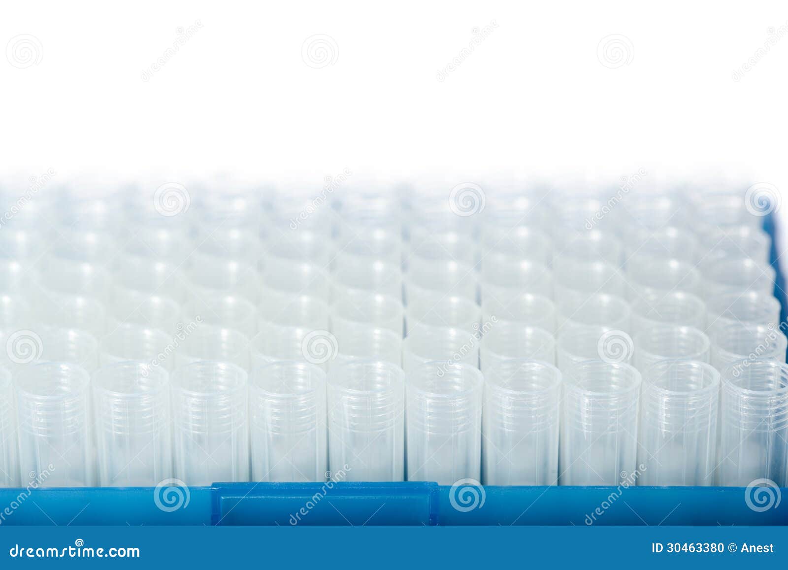 Rows of disposable tubes stock photo. Image of biotech - 30463380