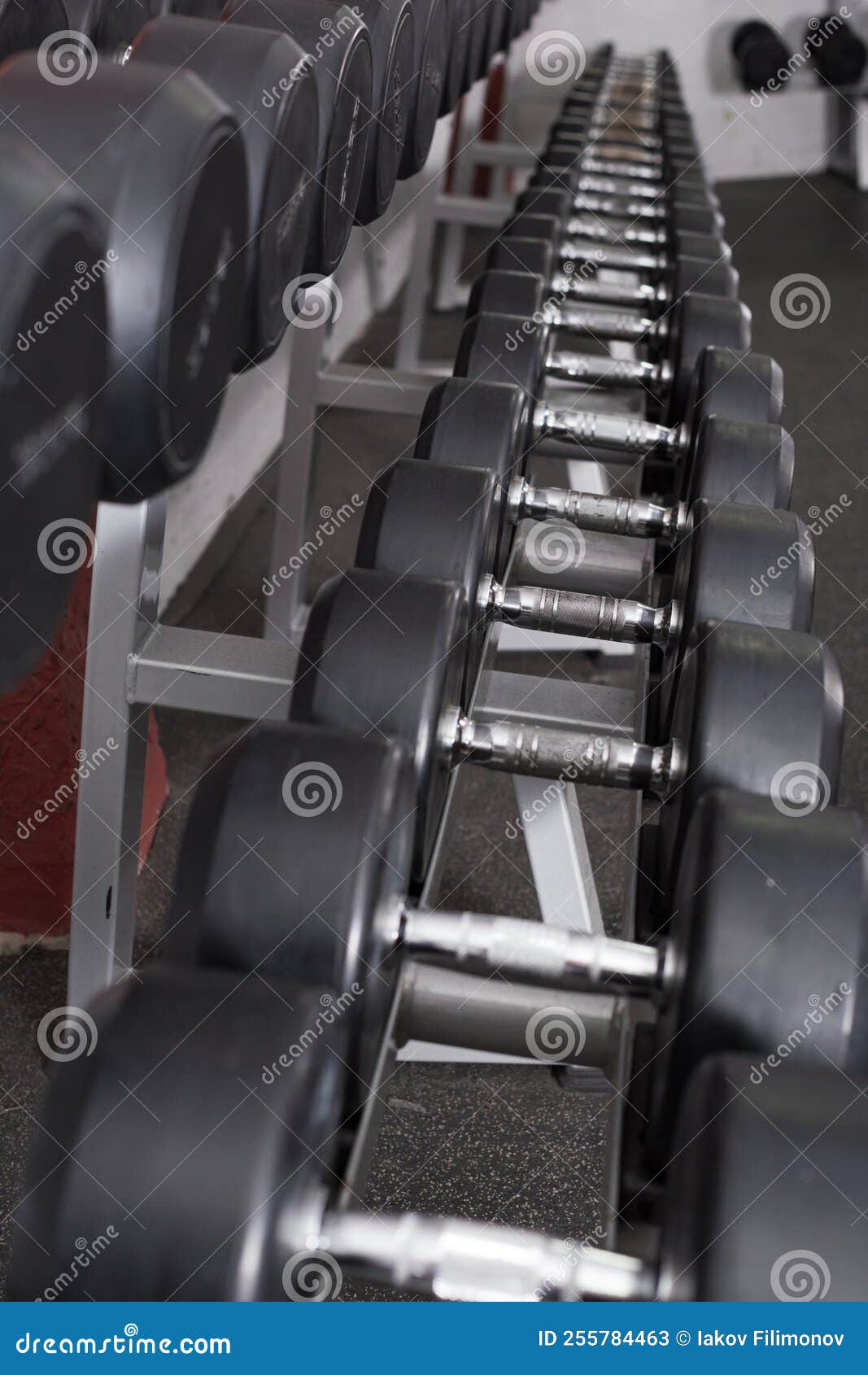 Rows of dumbbells in gym stock image. Image of steel - 255784463