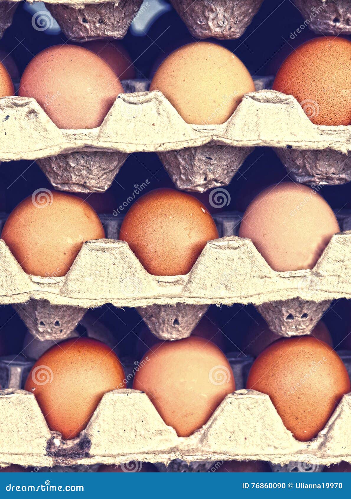 Rows of Eggs in Cardboard Cells Pack Stock Photo - Image of brown ...