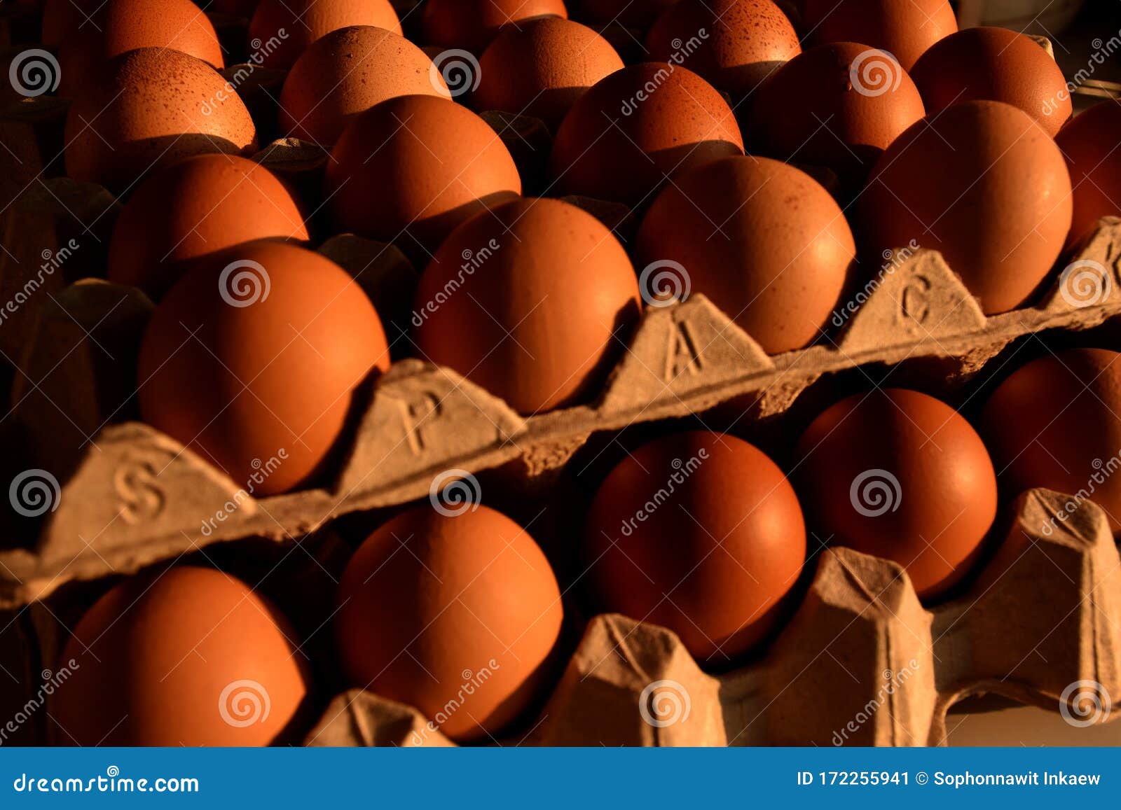 Rows of eggs stock image. Image of eggshell, group, agriculture - 172255941