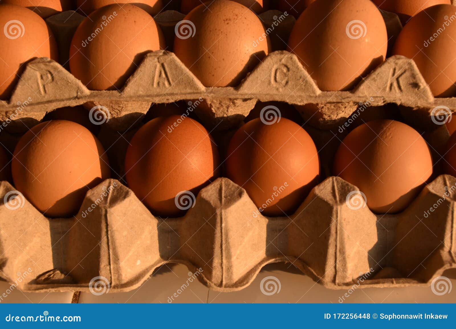 Rows of eggs stock photo. Image of basket, fresh, breakfast - 172256448