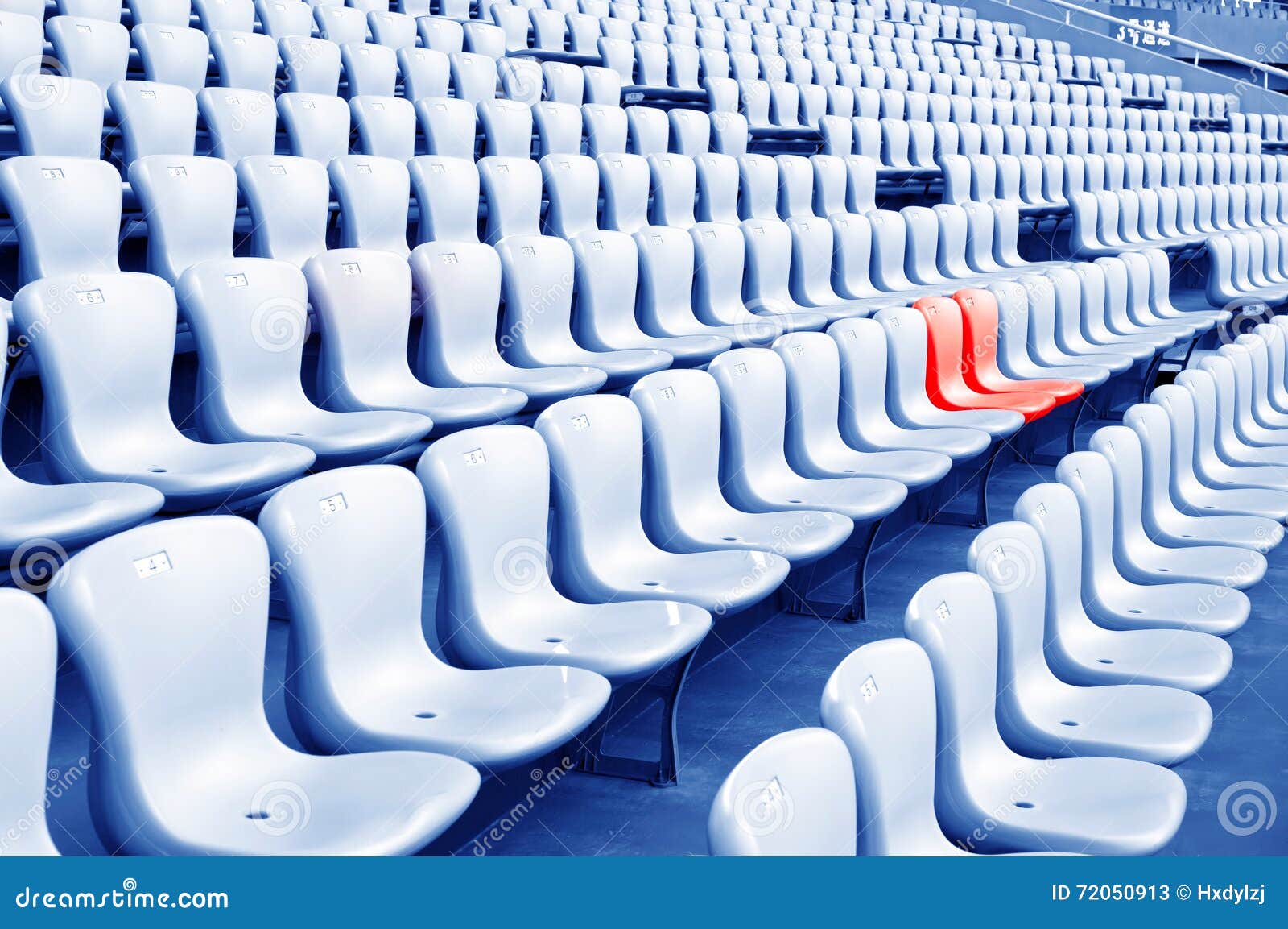 Rows of Empty Seats Waiting for the Audience in the Gym Stock Image ...