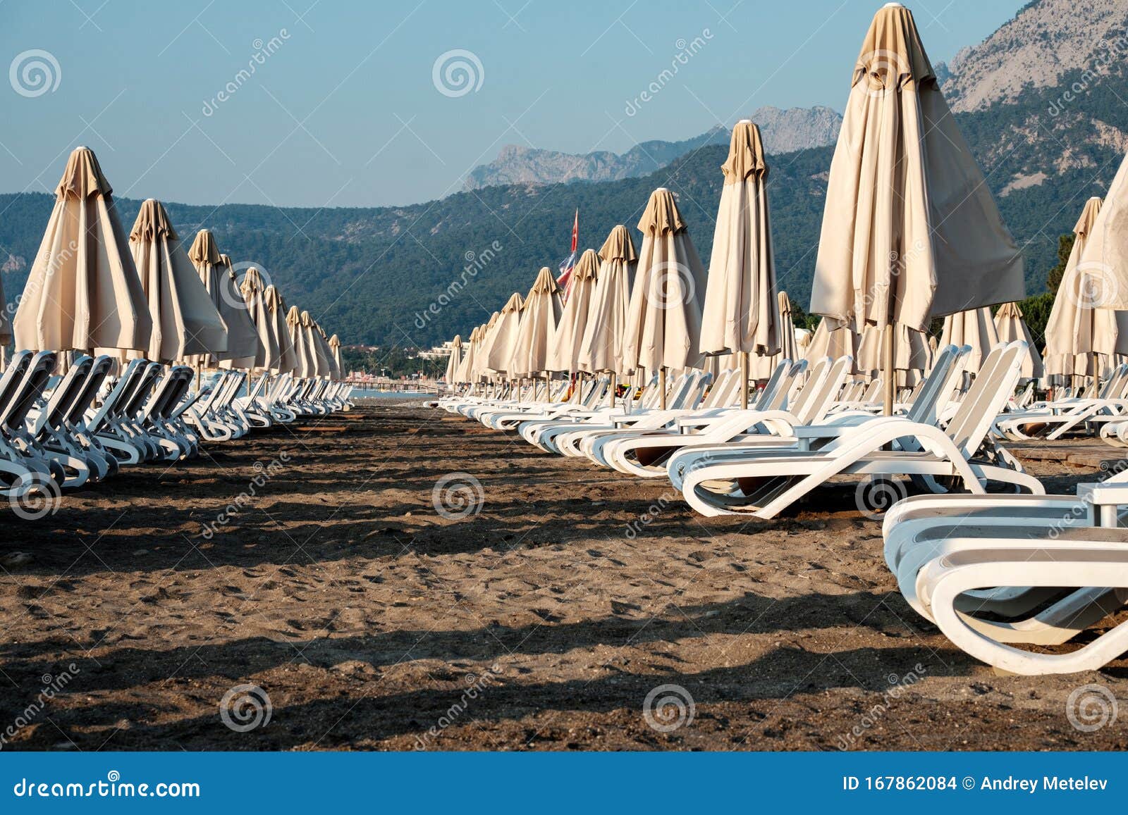 Rows of Empty Sun Loungers on the Beach in the Early Morning Stock ...
