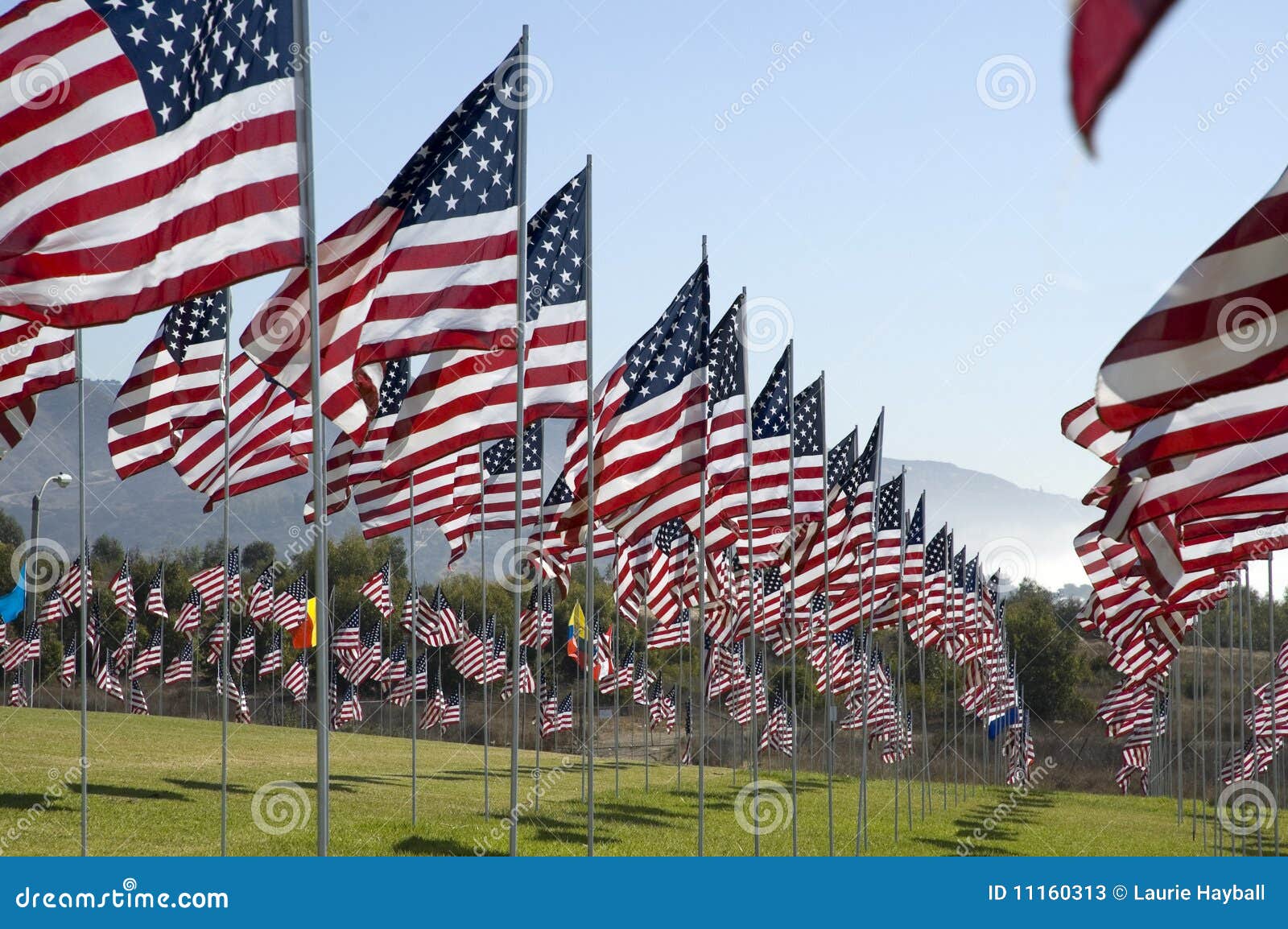 Rows of flags stock image. Image of independence, blue - 11160313