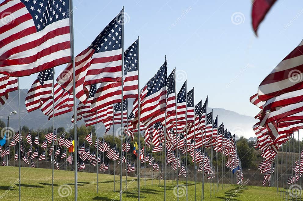 Rows of flags stock image. Image of independence, blue - 11160313