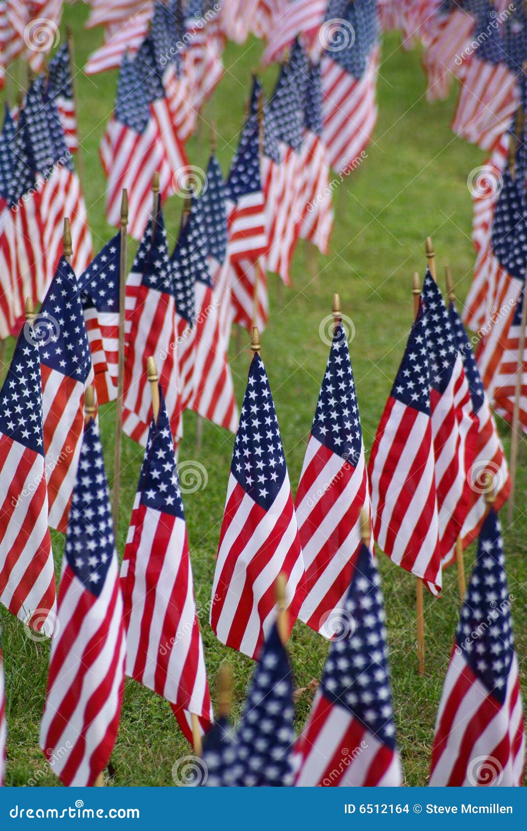 Rows Of Flags Picture. Image: 6512164