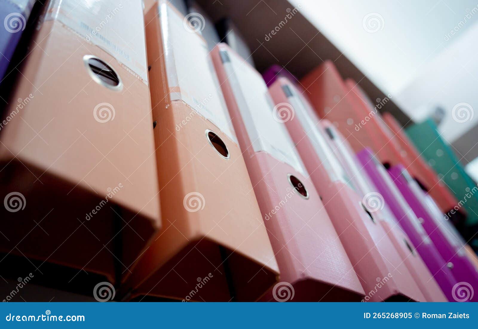 Rows of Folders for Bookkeeping Lie on a Shelf Stock Image - Image of ...