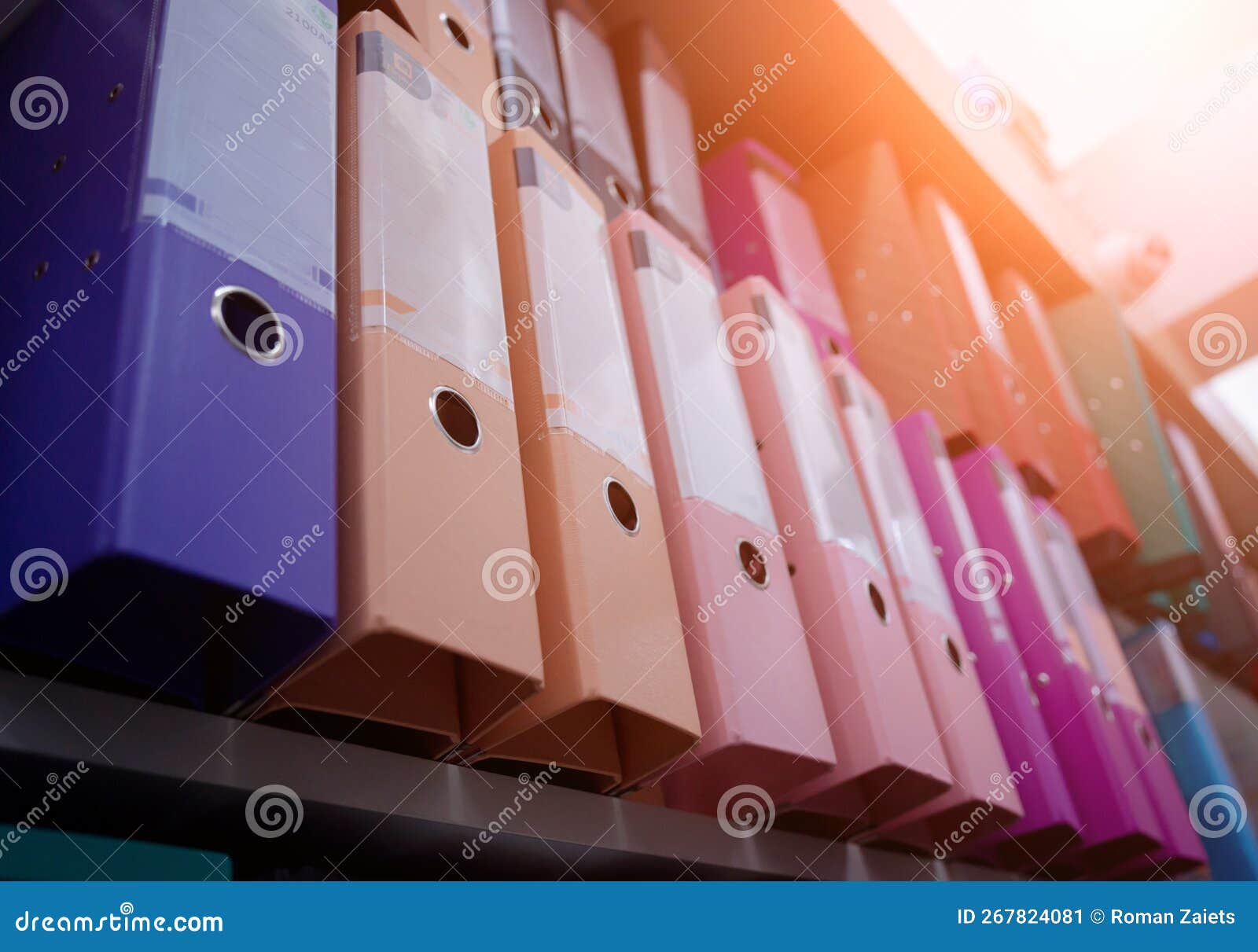 Rows of Folders for Bookkeeping Lie on a Shelf Stock Image - Image of ...