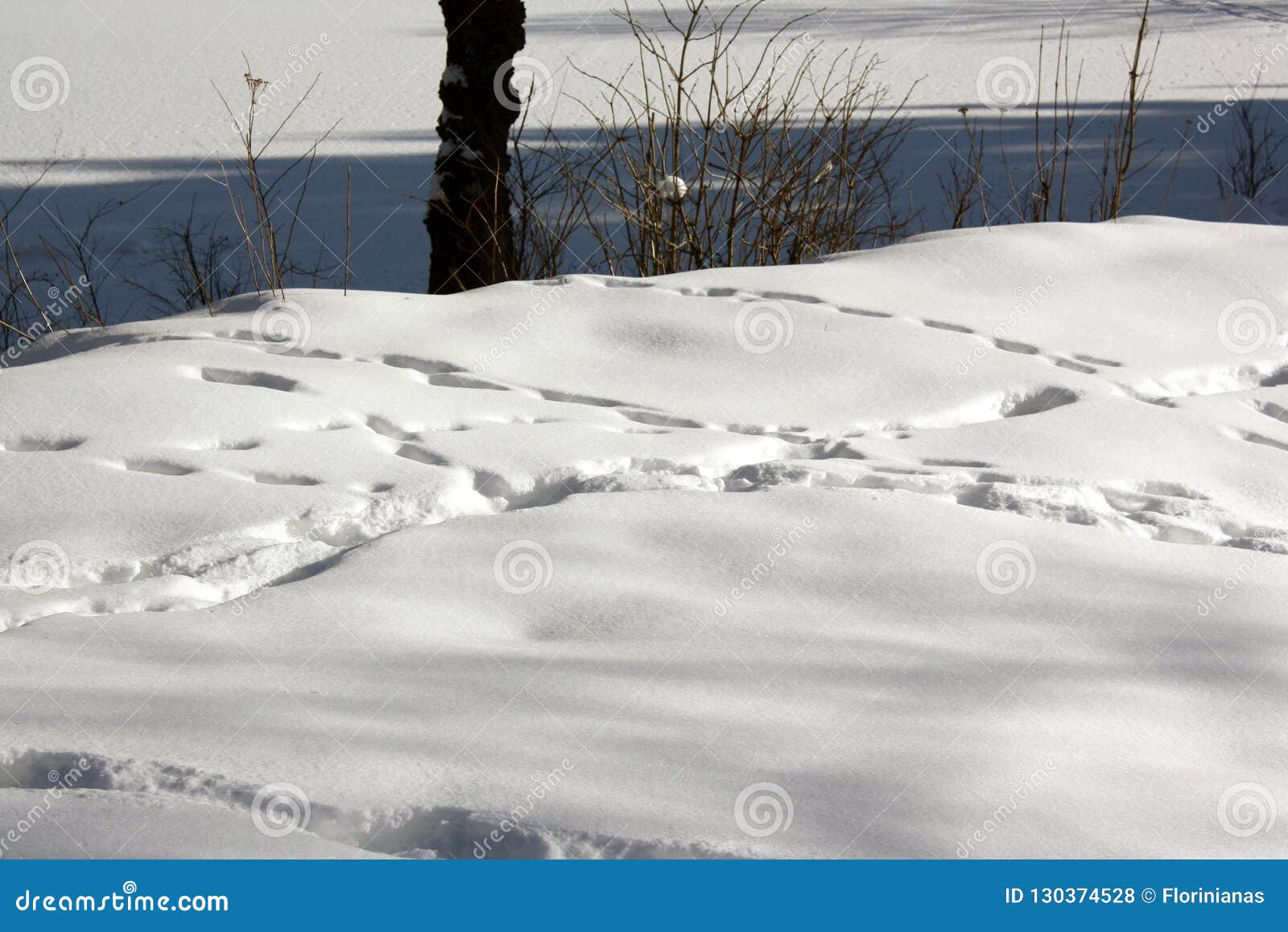 Rows of Footsteps in Big Snow in the Mountains on a Sunny Day Stock ...