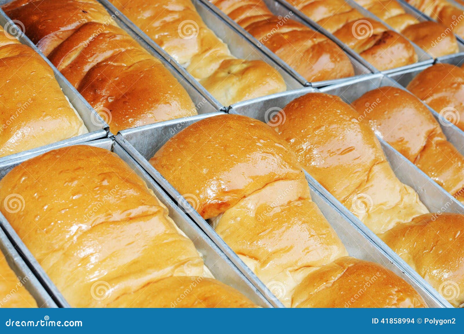 Rows of fresh bread stock photo. Image of kaiser, rows - 41858994