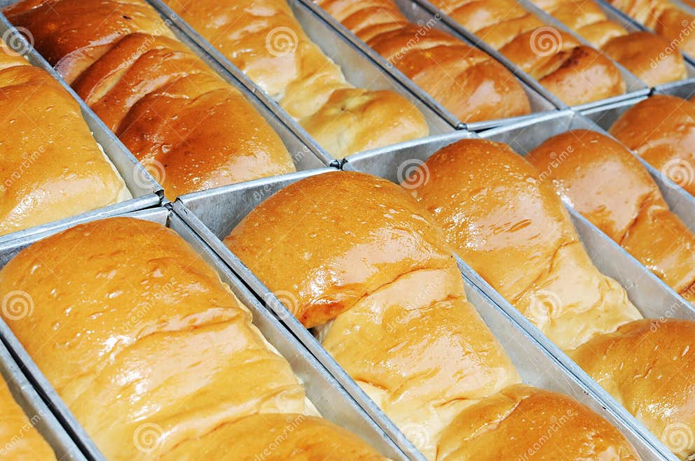 Rows of fresh bread stock photo. Image of kaiser, rows - 41858994