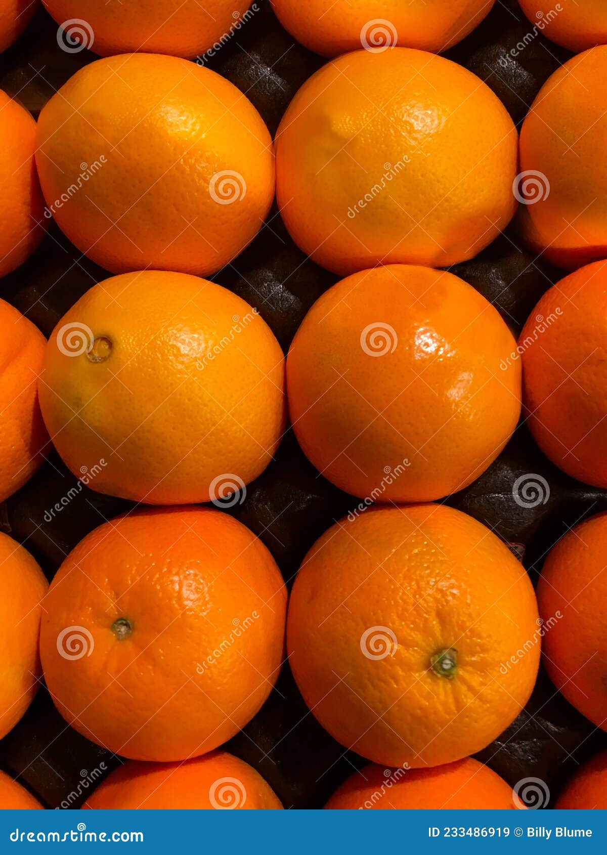 Rows of Fresh Florida Oranges on a Black Background Stock Image - Image ...