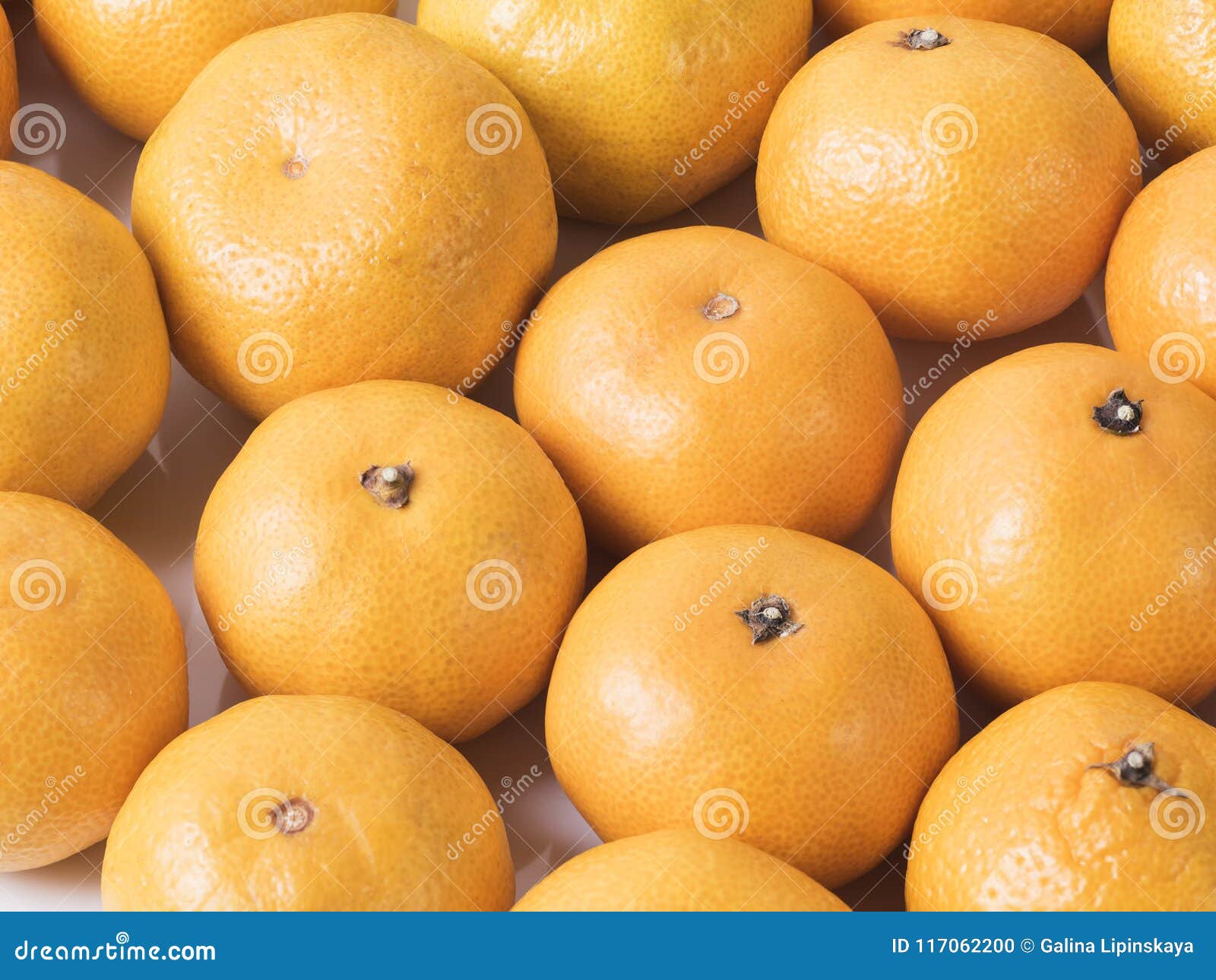 Rows of Fresh Yellow Mandarins Stock Photo - Image of citrus, ripe ...